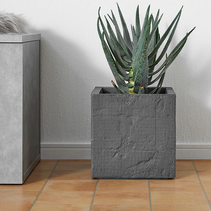 グリーンベース ROOM ESSENCE | 【公式】LOWYA(ロウヤ) 家具･インテリアのオンライン通販