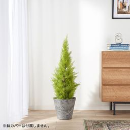 a.loop スリッパ [L] ルームシューズ FRONTIER | 【公式】LOWYA(ロウヤ) 家具･インテリアのオンライン通販